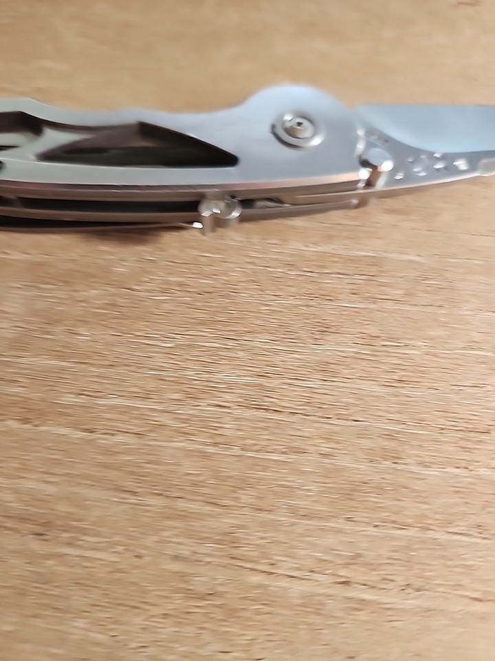 Buck USA 290 Rush Knife Assisted Opening Tactical Liner Lock no box | eBay