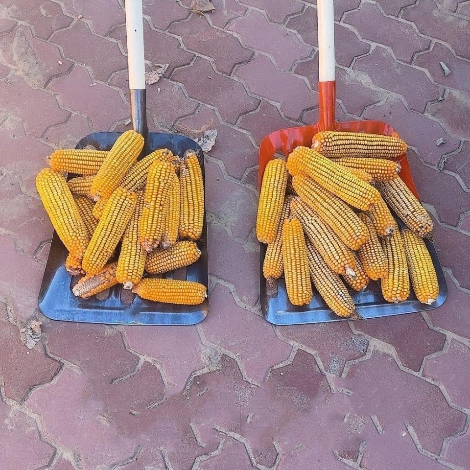 Gardening Grain Shovel, Manganese Steel Farm Sieve Shovel, Spade ...