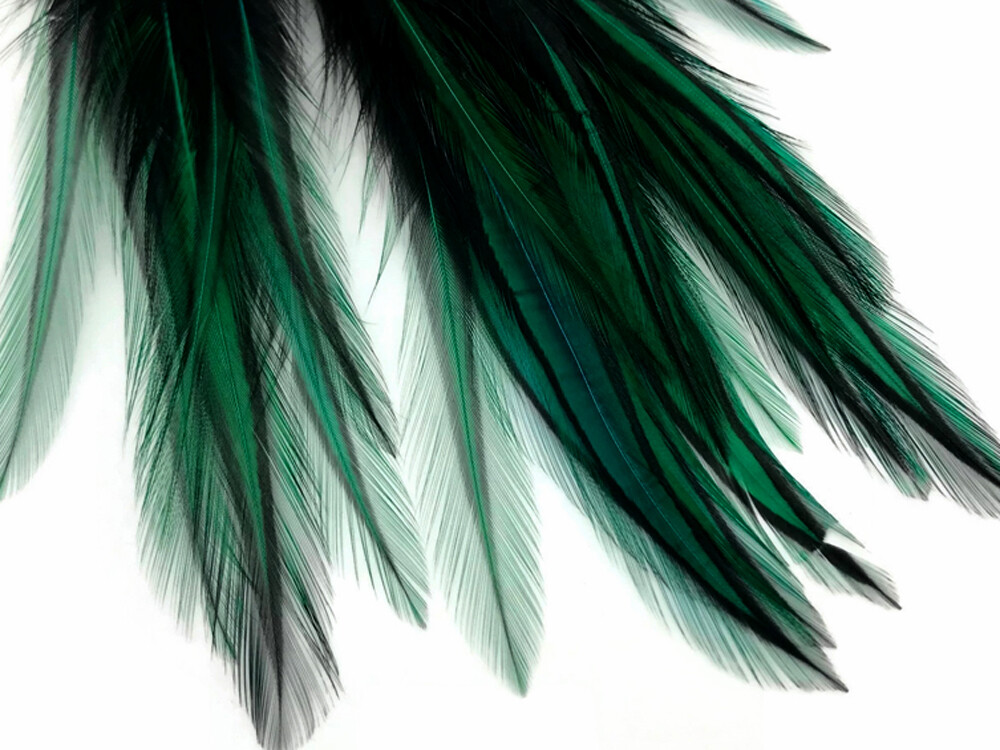 10 Pieces - Peacock Green Dyed BLW Laced Long Rooster Cape Whiting ...