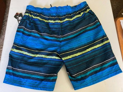 Speedo Men's Border Line Performance 20" E-Boardshorts in Blue Green ...