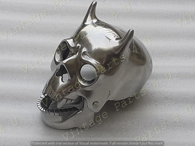 Custom Skull Choppers