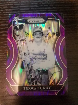 2018 Panini Prizm Prizms Purple Flash #37B Terry Labonte VAR | eBay