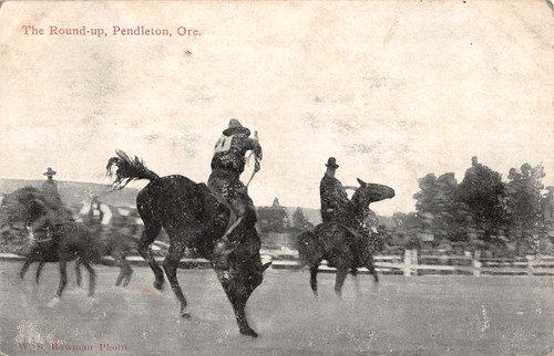 Pendleton Oregon Round Up Horses Cowboys Antique Postcard K24874 | eBay