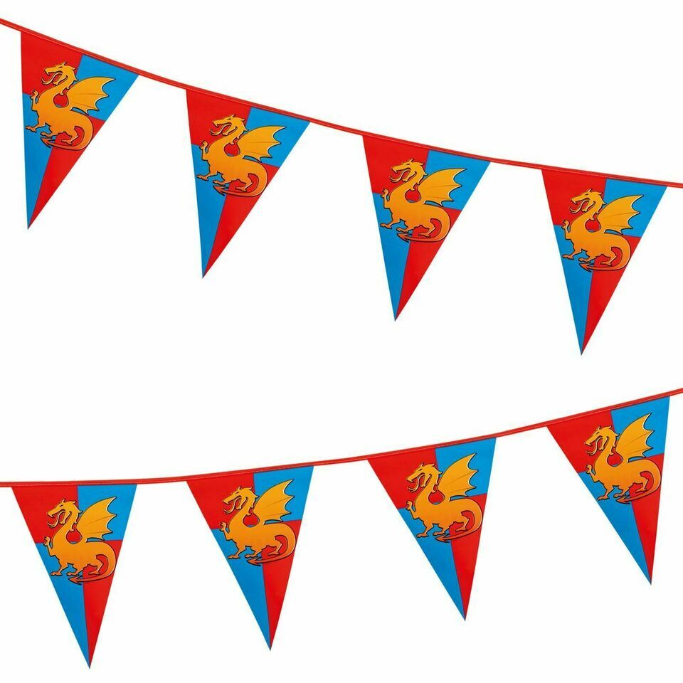 6m Knights and Dragons Medieval Bunting Banner Birthday Party Flags ...