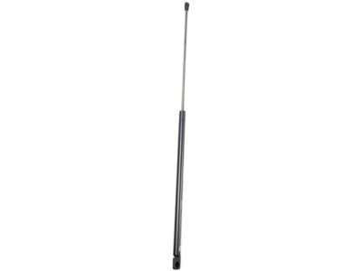 Lift Support For 02-06 Toyota Camry CN42R5 Lift Support -- Hood | eBay