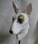 English Bull Terrier Mask Dog Latex Overhead Animal Fancy Dress Canine ...