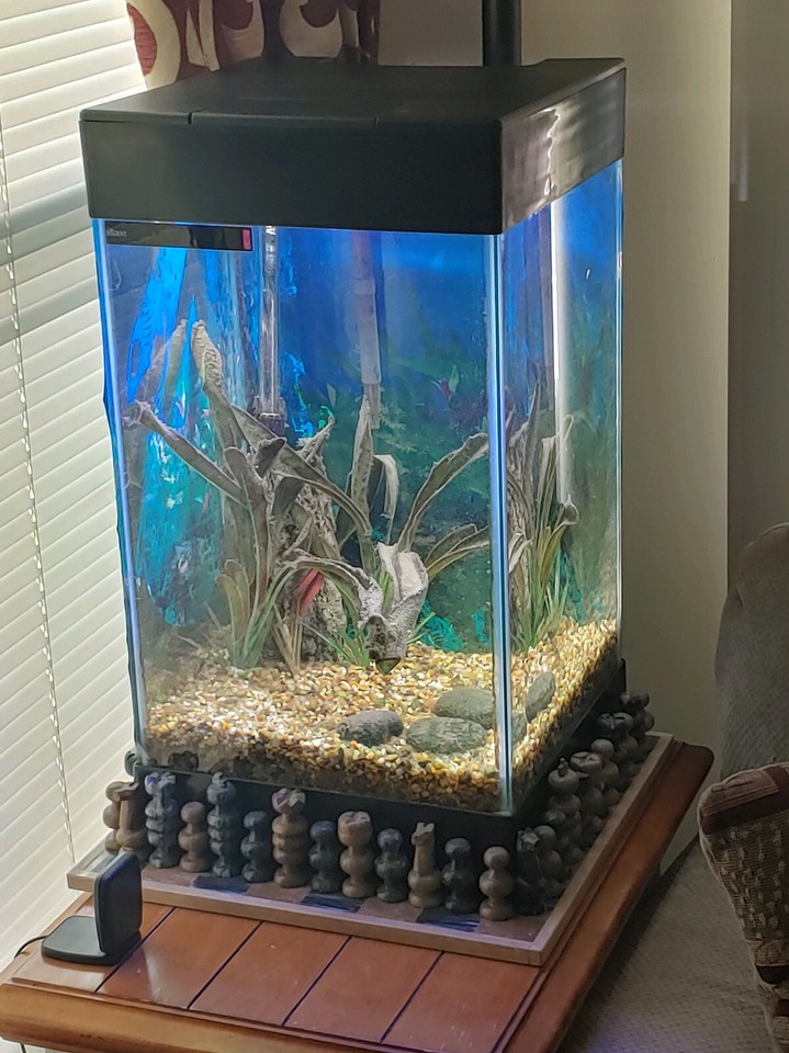 AQUEON AQUARIUM STARTER KIT 15 GALLON COLUMN see description for extras ...
