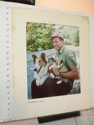 TV GUIDE Cover Portrait 1964 LASSIE collie dog puppies Robert Bray ...