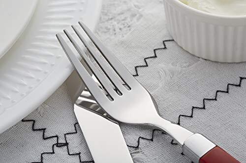 20 Pieces Stainless Steel Flatware/Cutlery Set - Color Handles - 4 x ...