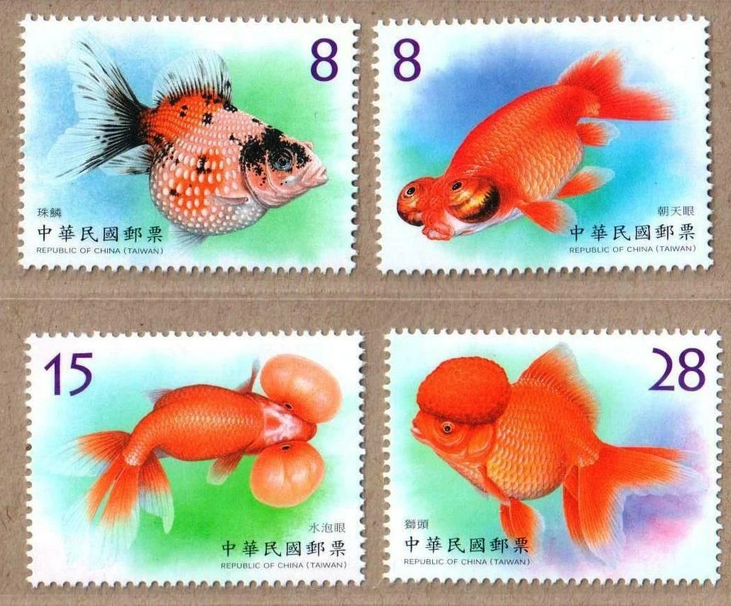 Chinese Goldfish
