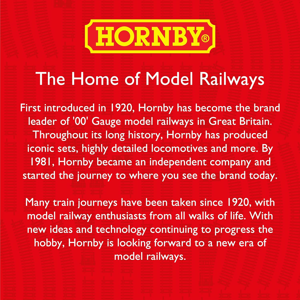 Hobby Train Tracks - R8225 Extension Pack E Track Pieces - Small Scale ...