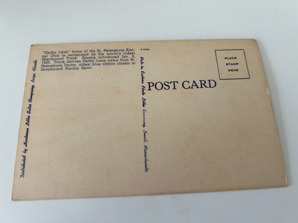 Thrilling Finish of Greyhound Races at Derby Lane St Petersburg Florida ...