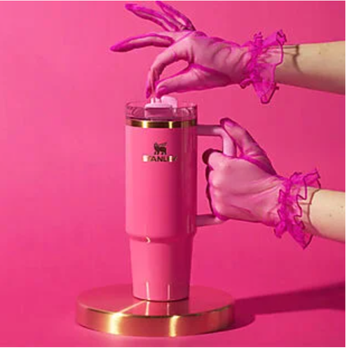 STANLEY PINK PARADE FLOWSTATE TUMBLER 30OZ PRE SALE BRAND NEW | eBay