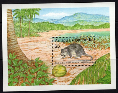 ANTIGUA 1989-1997 #1237 & #2062 S/S MNH Wildlife/Giant Rice Rat/Bat ...