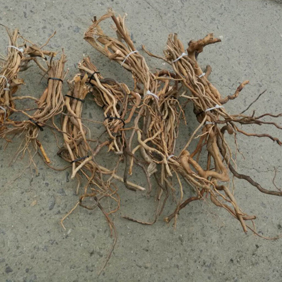 Natural Driftwood Aquarium Root Trunk Tree Fish Tank Landscape Plants ...