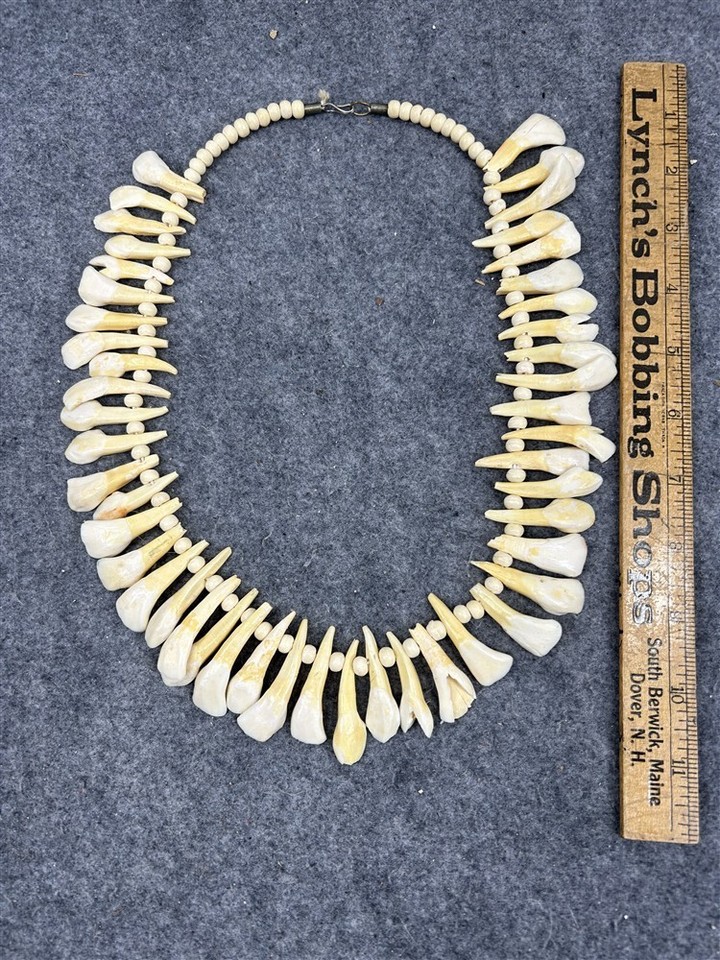 antique necklace teeth real bovine Native American tribal 24 x 1.75 ...
