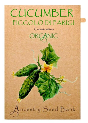 Organic CUCUMBER 🌱 PICCOLO DI PARIGI 10 Seeds HEIRLOOM 🌱 Non GMO | eBay UK