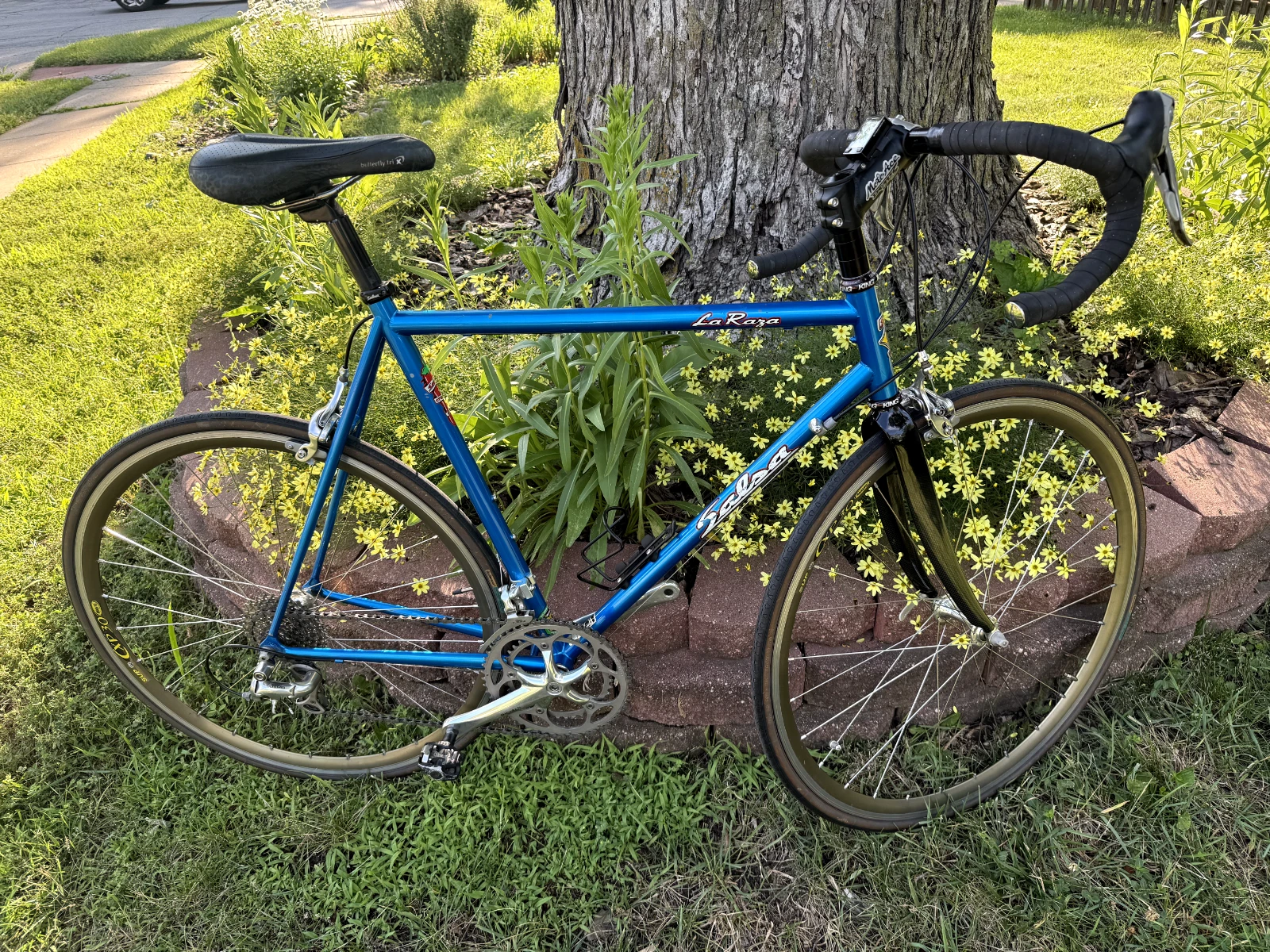 Salsa La Raza Steel Road Bike – Shimano Ultegra, Carbon Fork, Chris ...