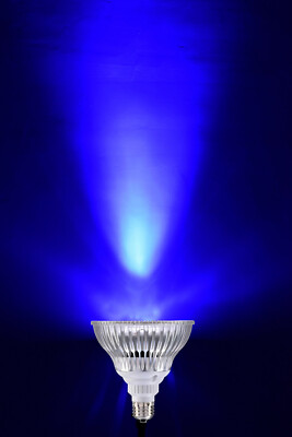LED PAR38 120V 20W = 180W Blue Color Non-Dimmable E26 Medium Base Light ...