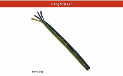 Z-Man Bang StickZ Bama Bug 6 Pack Soft Plastic Neko Wacky Rig 5.75" | eBay
