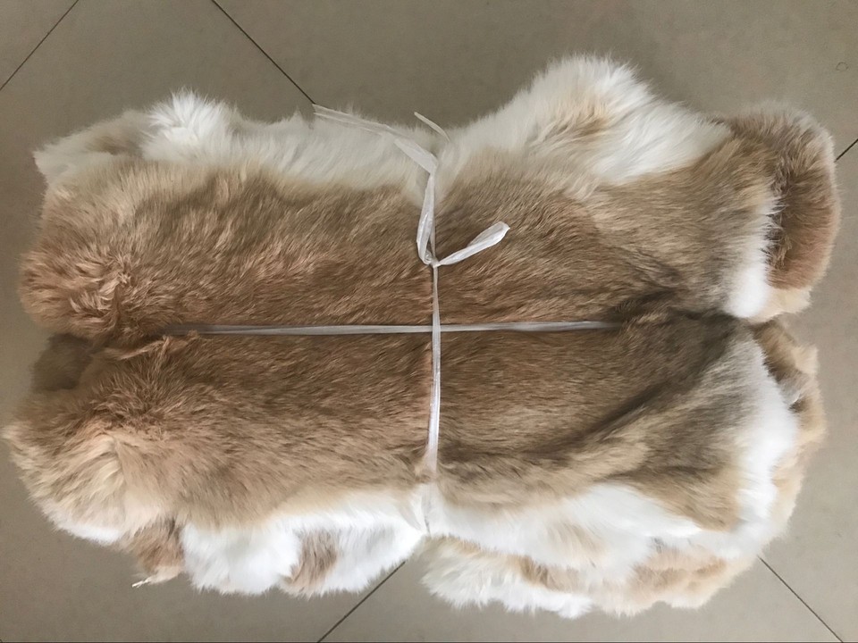 20 Pieces Natural Tanned Real Rabbit Pelts Fur Craft Leather DIY ...