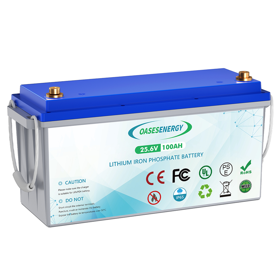 24V 100Ah Lithium Battery LiFePO4 Rechargeable 4000+ Deep Cycle BMS for ...