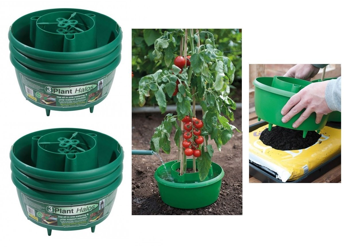GARDEN TOMATOES TOMATO BEAN PLANT HALO HALOS GROW BAG WATERING POT ...