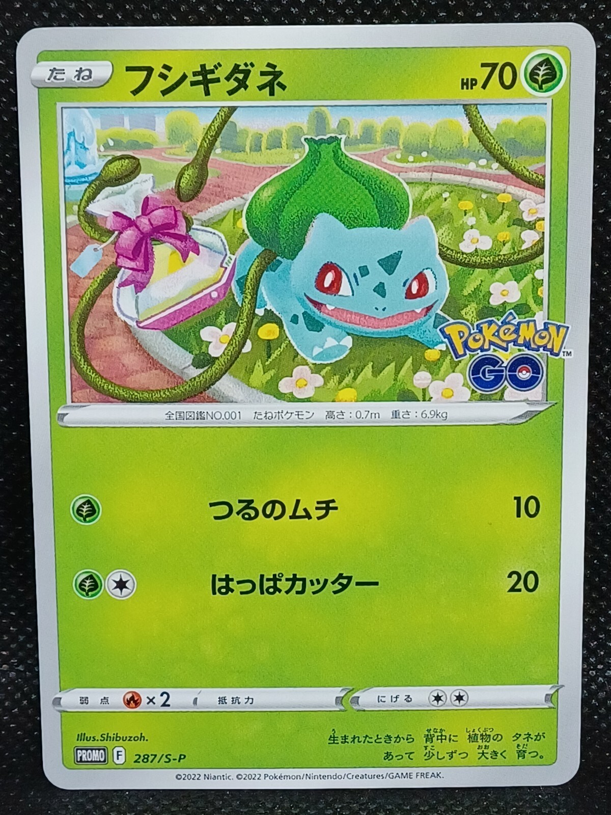 Bulbasaur Promo Pokemon Card 287/S-P Japanese Pokemon GO | eBay