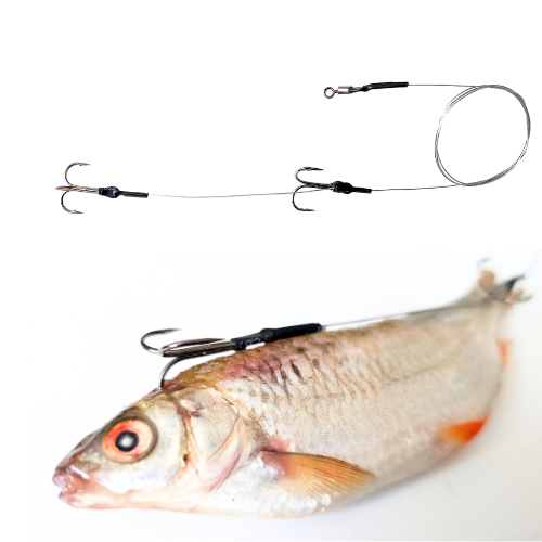 Pike Float Rigs Fishing Deadbait Rig, Hooks, Lead, Stops – UK PIKE ...