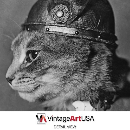 Vintage 1930s Funny Brunhilde The Cat 8x10 Photo Print Cat in Viking ...