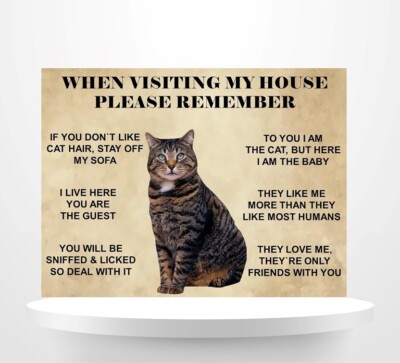 Funny Tabby Cat metal wall sign Home rules cat lovers gift kitchen ...
