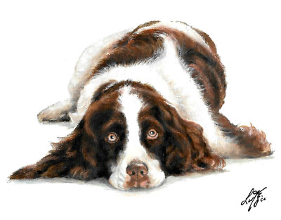 ORIGINAL Oil Portrait Painting ENGLISH SPRINGER SPANIEL Artist Signed ...
