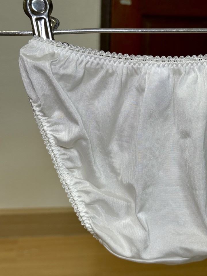 Vintage WACOAL Slippery White Nylon Panty Sheer Lace Bikini Hi Cut Brief Sz.5 | eBay