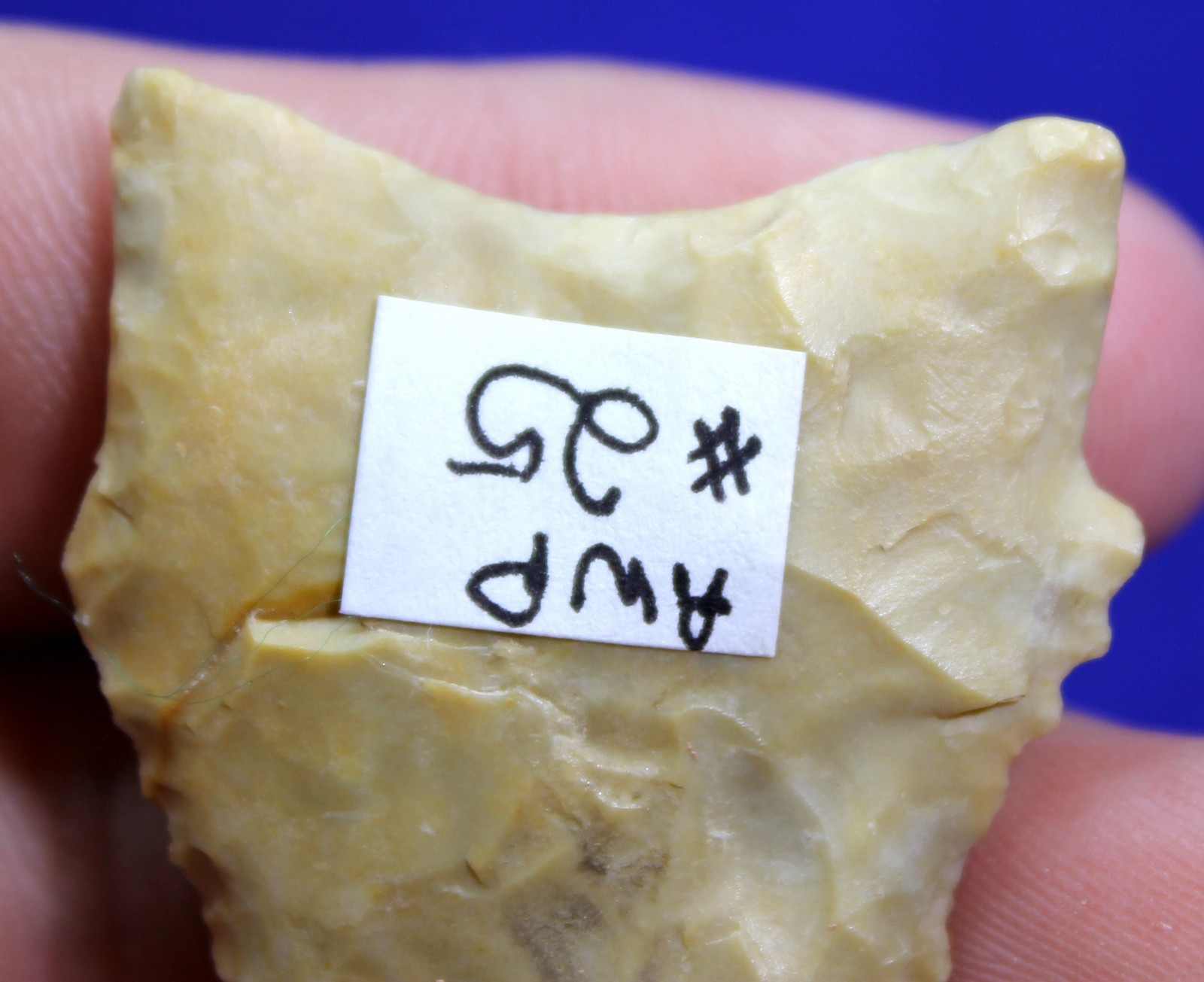 Dalton Hardaway Point Authentic Arrowhead Prehistoric Artifact Native ...