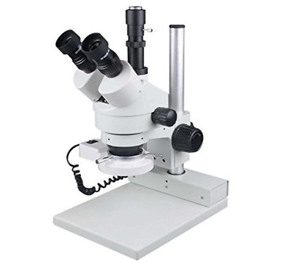 Microscopes - Camera Port
