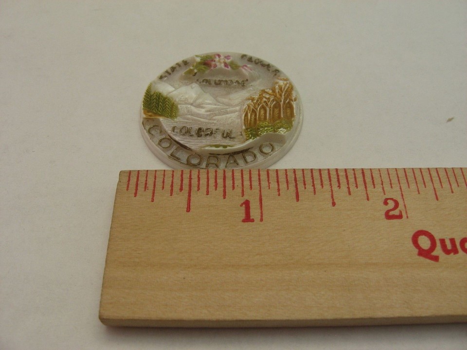 Rare Vintage Souvenir Blank: COLORADO State Flower Columbine | eBay