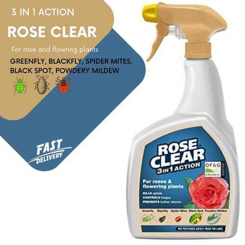 RoseClear 3 in 1 Action Ready to Use Spray 800ml | For Roses ...
