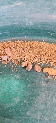 Gold Rich Paydirt For Gold Panning Concentrated Nevada Comstock Lode Au ...