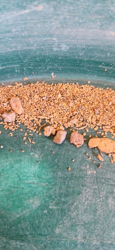 Gold Rich Paydirt For Gold Panning Concentrated Nevada Comstock Lode Au ...