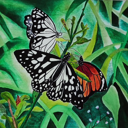 Images Of Paintings Of Butterflies Formation Butterfly | Maxim Artwork
