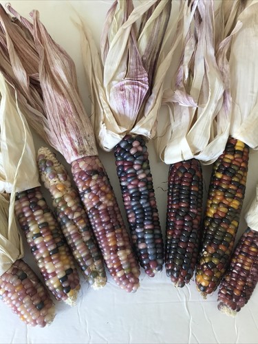 Gem Glass Indian Corn arrangement Fall decor farmhouse floral ...