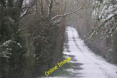 Photo 6x4 Mid Devon : Lane to Herne Place Halberton A small lane ...