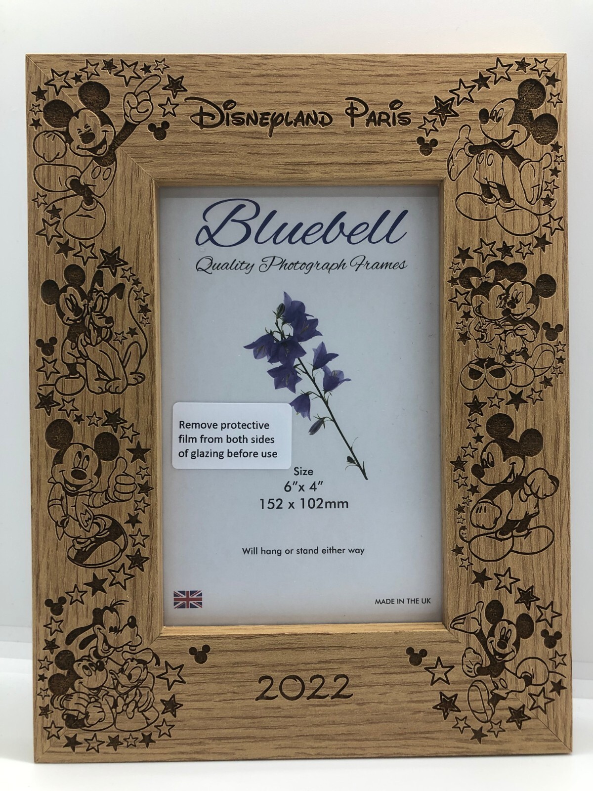 Personalised Disneyland Paris Photo Frame Engraved Gift New Portrait ...