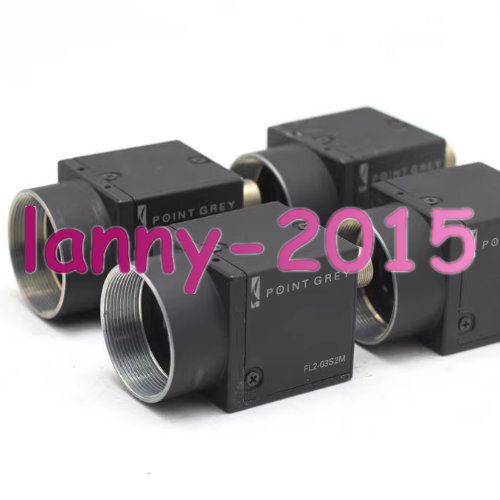 1PC Point Grey Flea2 FL2-03S2M 1394B Black and white CCD industrial camera #CZ | eBay