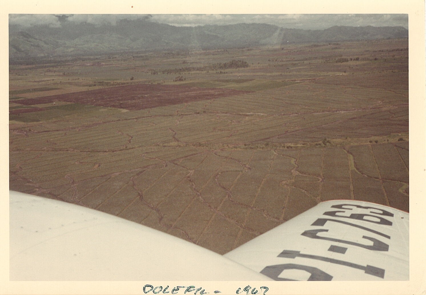 Vintage Photograph Dolefil Dole Plantation in Philippines 1967 Kodak | eBay
