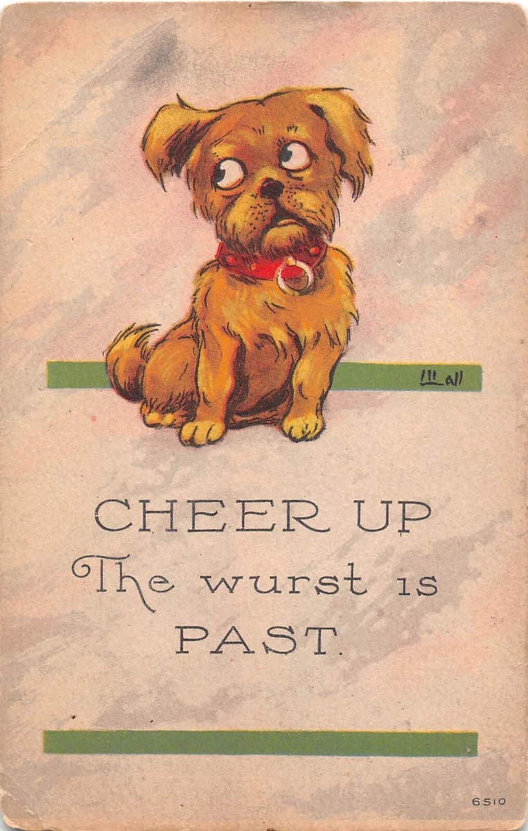 Puppy Cheer Up Pictures