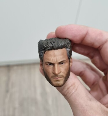 1/6 Scale Head Logan Wolverine X-Men DOFP No Hot Toys Sideshow Hugh ...