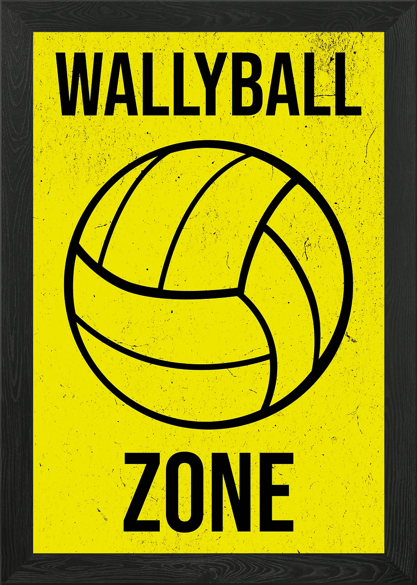 Wallyball Zone Framed Wall Art Poster Canvas Print Picture | eBay
