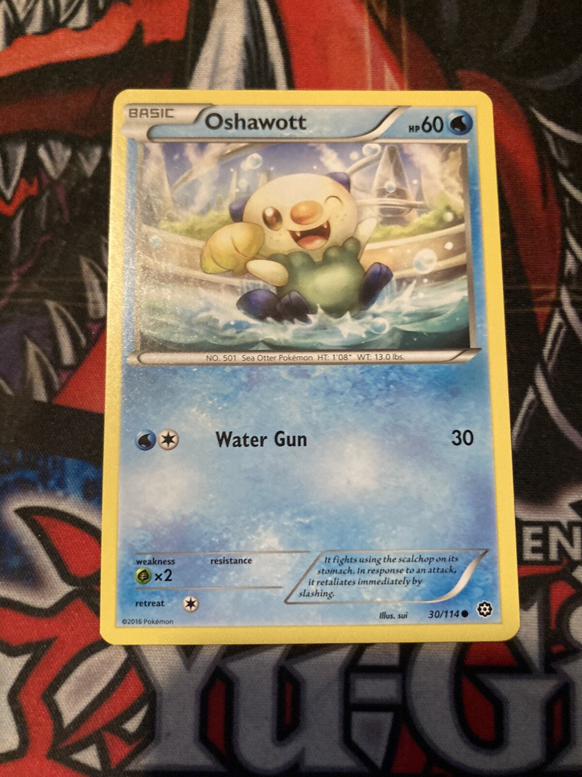 Pokémon TCG Oshawott Steam Siege 30/114 Regular Common-NM | eBay