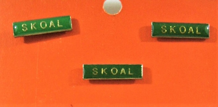 Vintage Skoal Chewing Tobacco Pin Display 12 On Card Old Stock | eBay